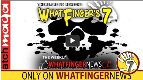 THERE ARE NO REASONS: Whatfinger’s 7 – Whatfinger News' Choice Clips