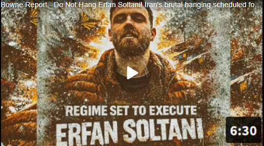 Bowne Report – Do Not Hang Erfan Soltani! Iran’s brutal hanging ...